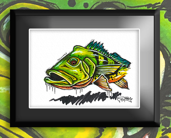 Tucunaré - Prints – Shop Estrada